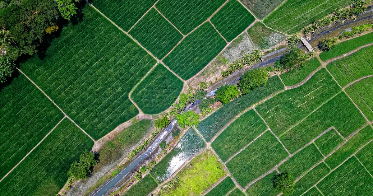 Calcifert | Soil Conditioner for Agriculture | LKAB Minerals